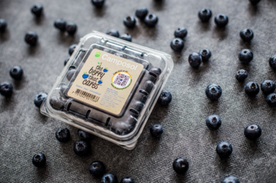 Blueberries, 6 oz (170 g)
